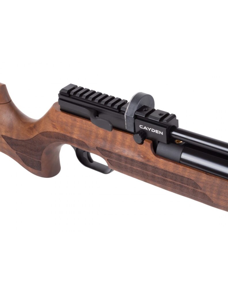 🔥¡OFERTA ESPECIAL! RIFLE PCP BENJAMIN CAYDEN 5,5 // 12 TIROS // SIDE ...